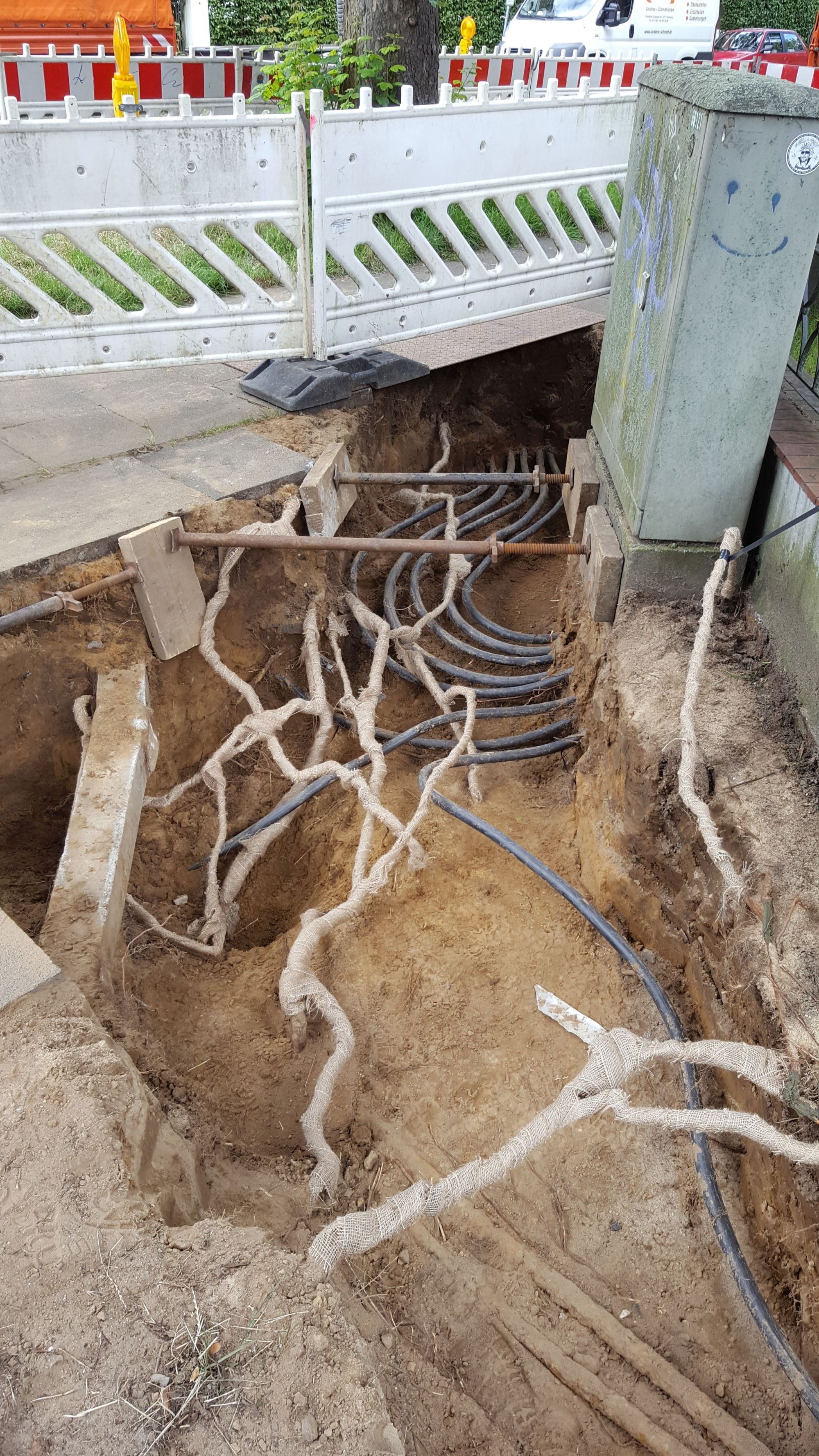 TASPO GARTEN-DESIGN | Die Wurzeln von Straßenbäumen schützen